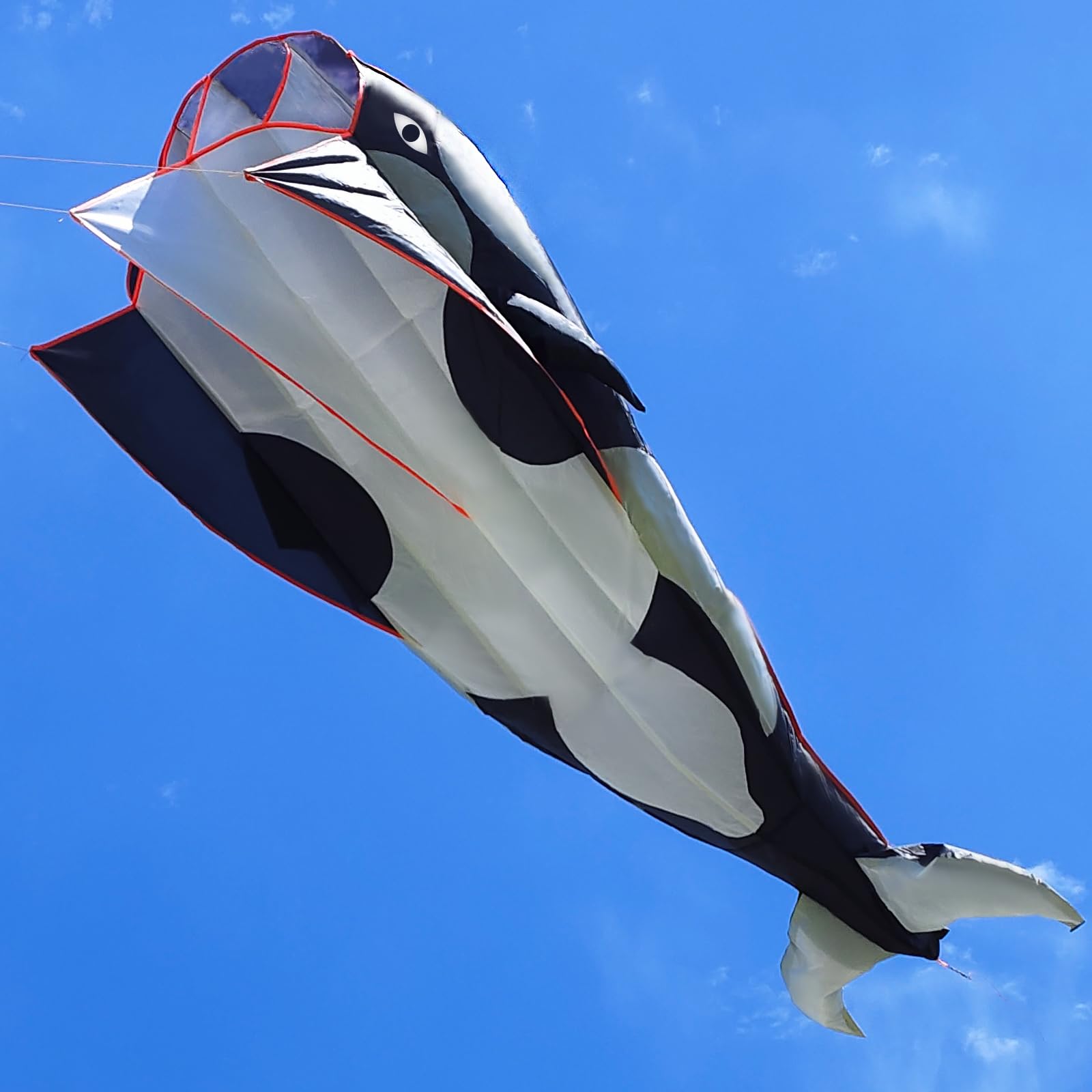 Kaiciuss Large 3D Orcas Kite - Frameless Soft Parafoil Whale Kite in W ...