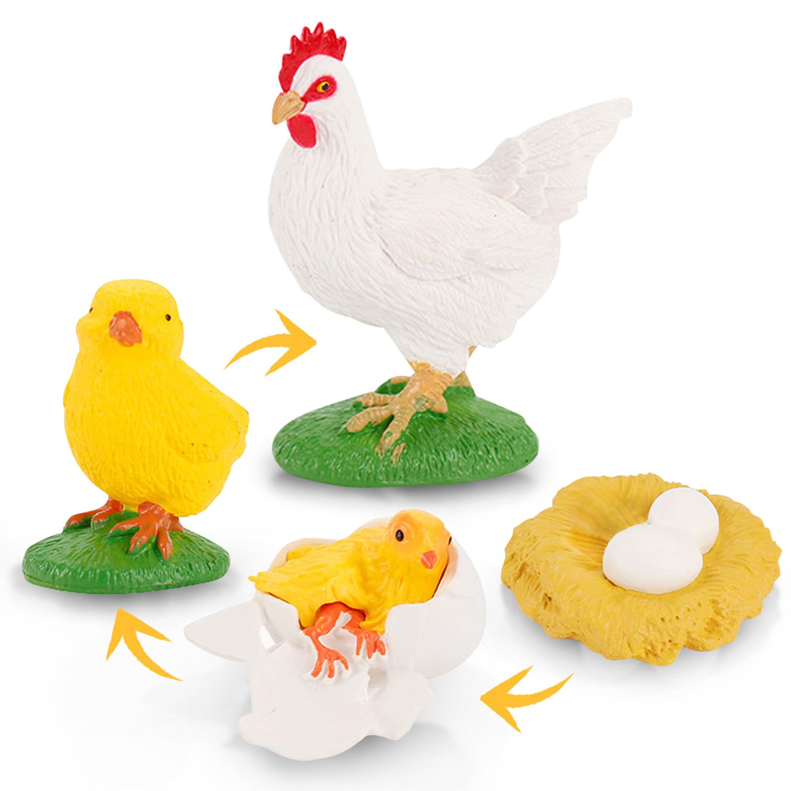 Life Cycle Set Life Cycle Of Chicken Toys Realistic Farm Animals Figur ...