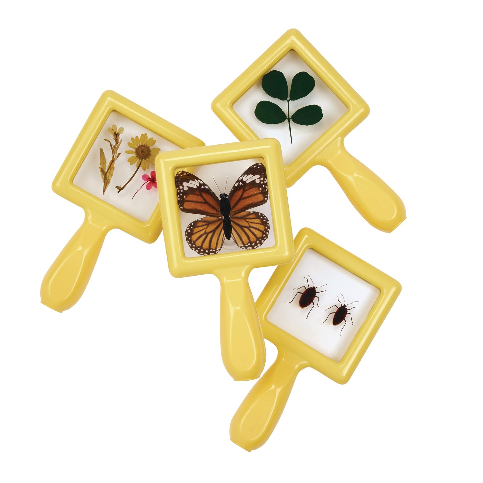 Environments Specimen Viewers Set of 4 for Kids - Early STEM Education ...