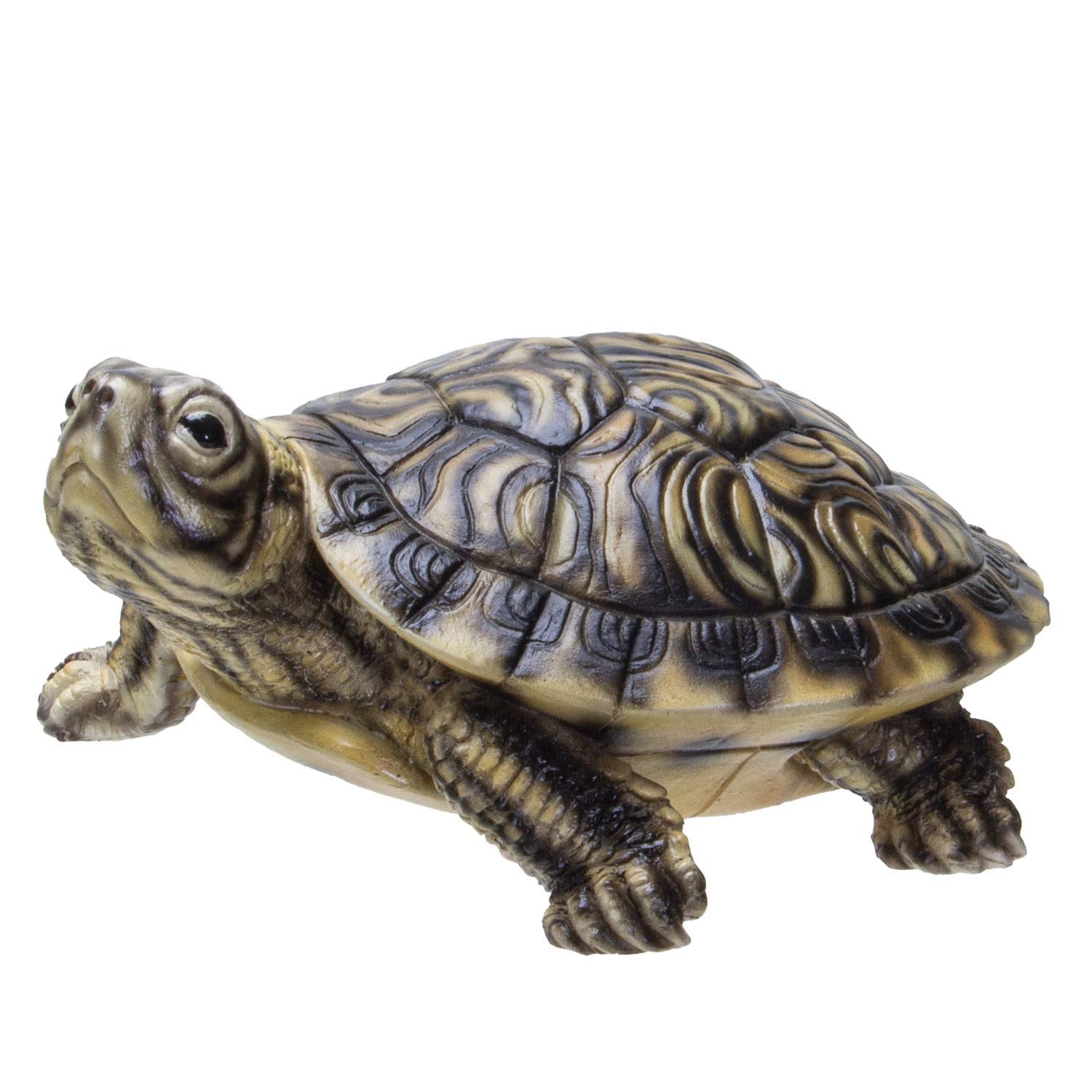 Pacific Giftware Realistic Yellow Belly Turtle Resin Figurine – Toytooth