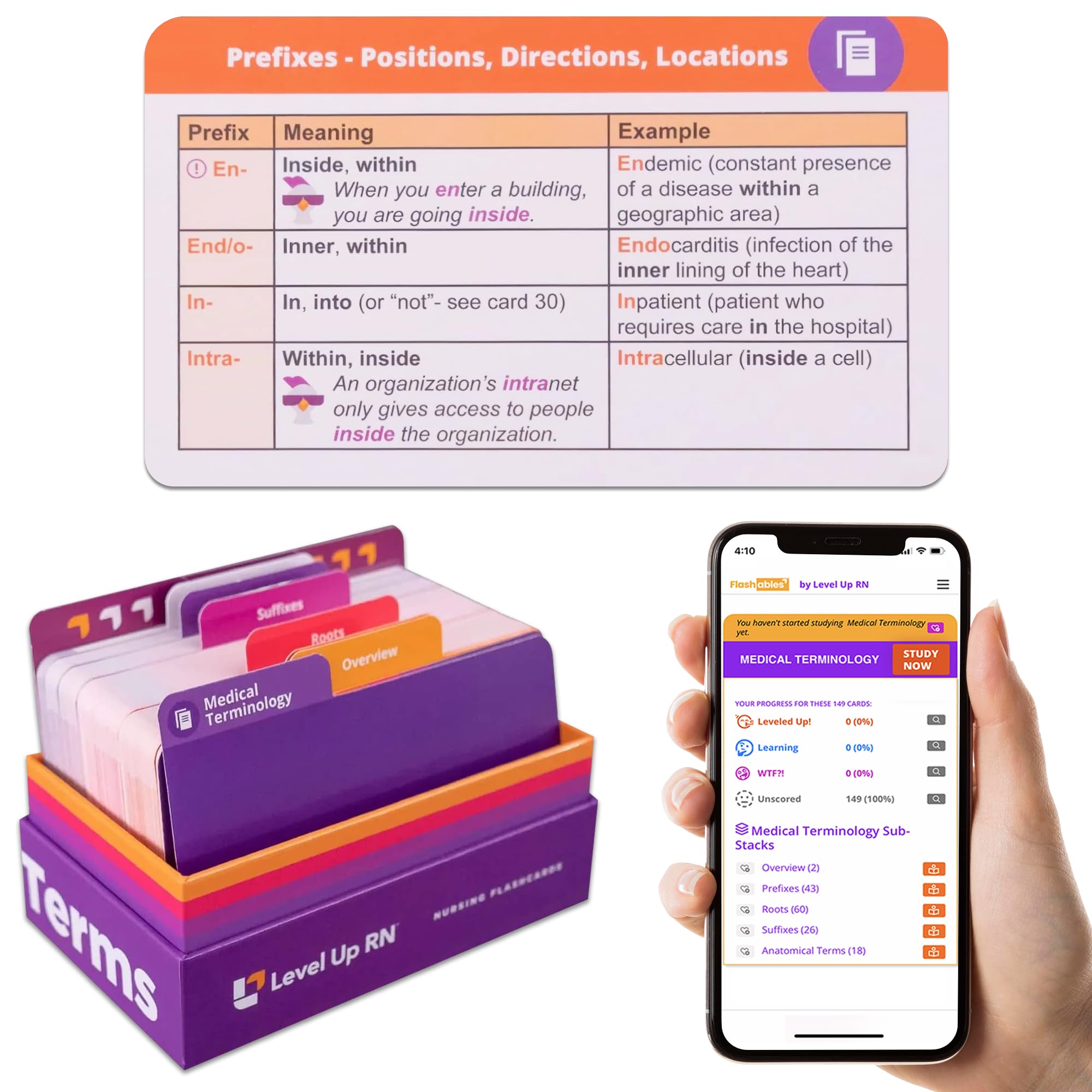 Medical Terminology Flash Cards - 559 Prefixes, Roots, Suffixes, Key T ...