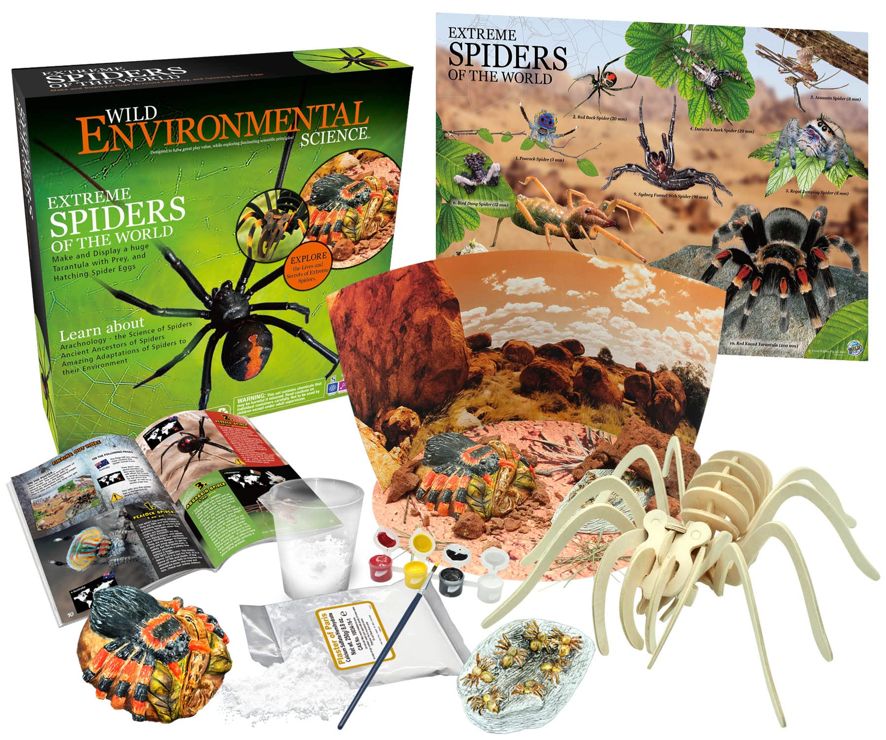 Extreme Science Kit Spiders Of The – Toytooth