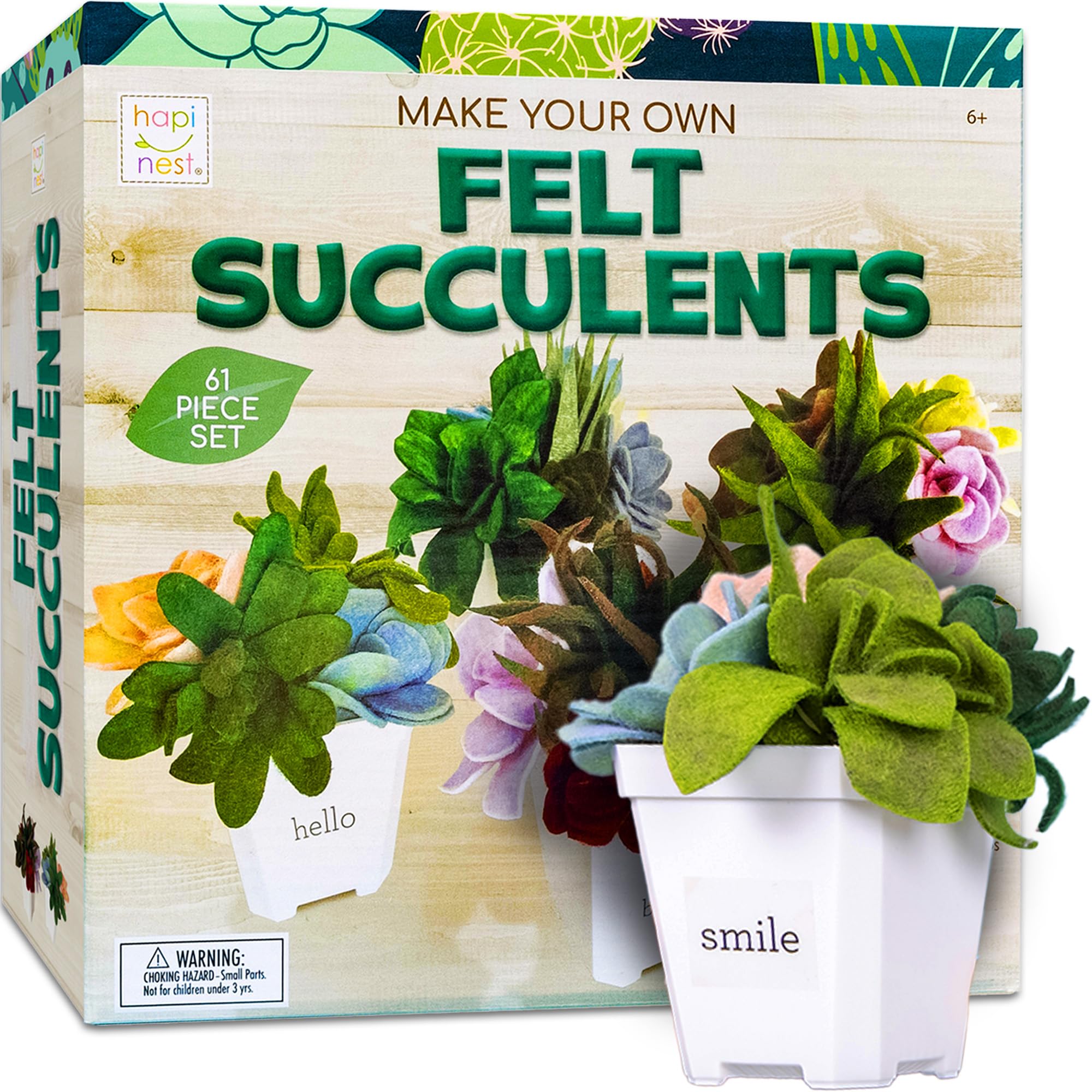 Hapinest Make Your Own Potted Felt Succulents DIY Arts and Crafts Kit ...
