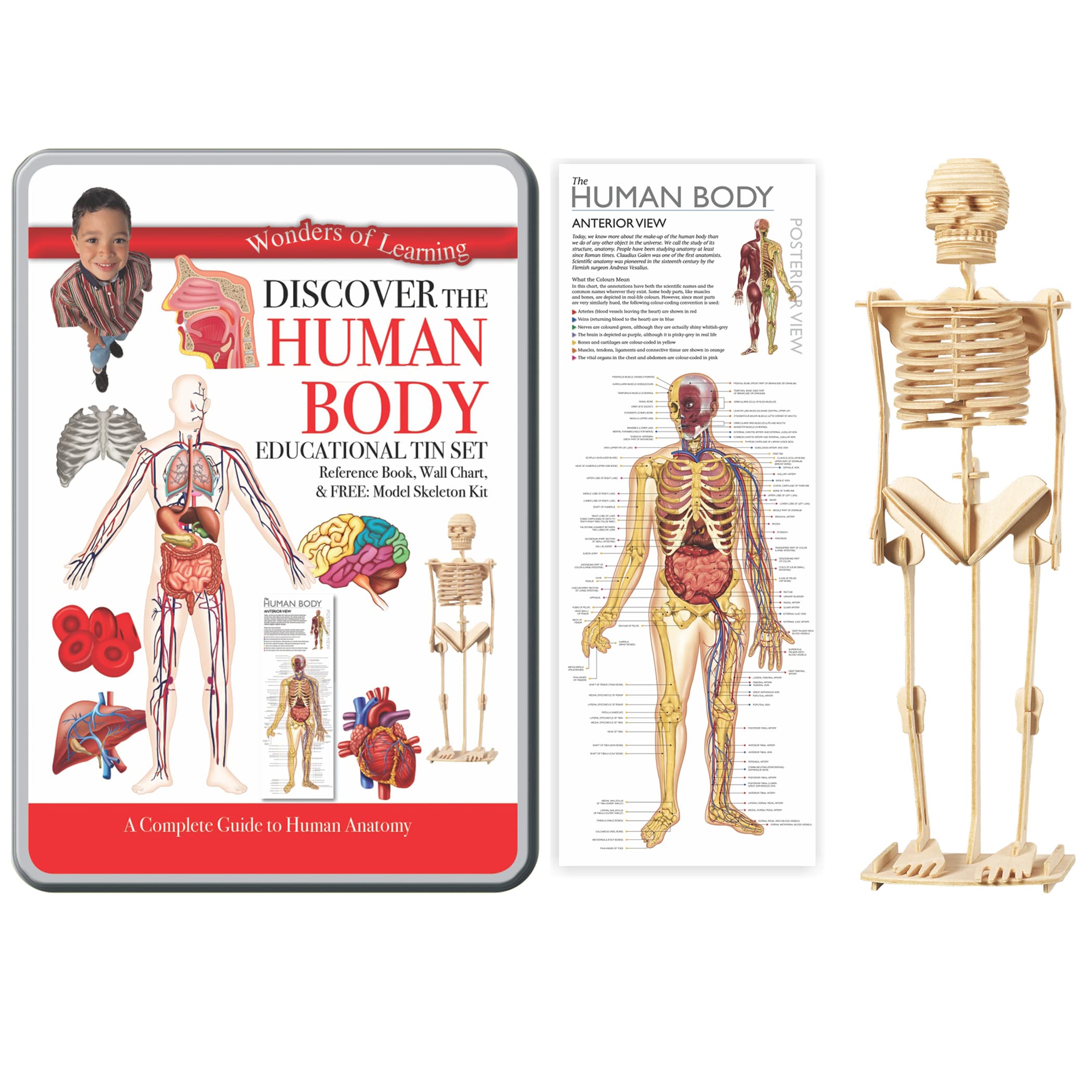 Wonders of Learning Wonders of Learning Tin Set, Discover The Human ...