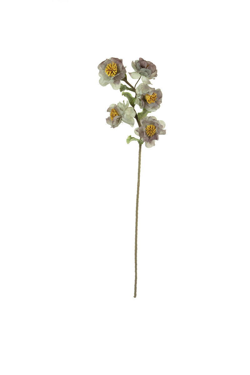 Botanica #3423 – Toytooth