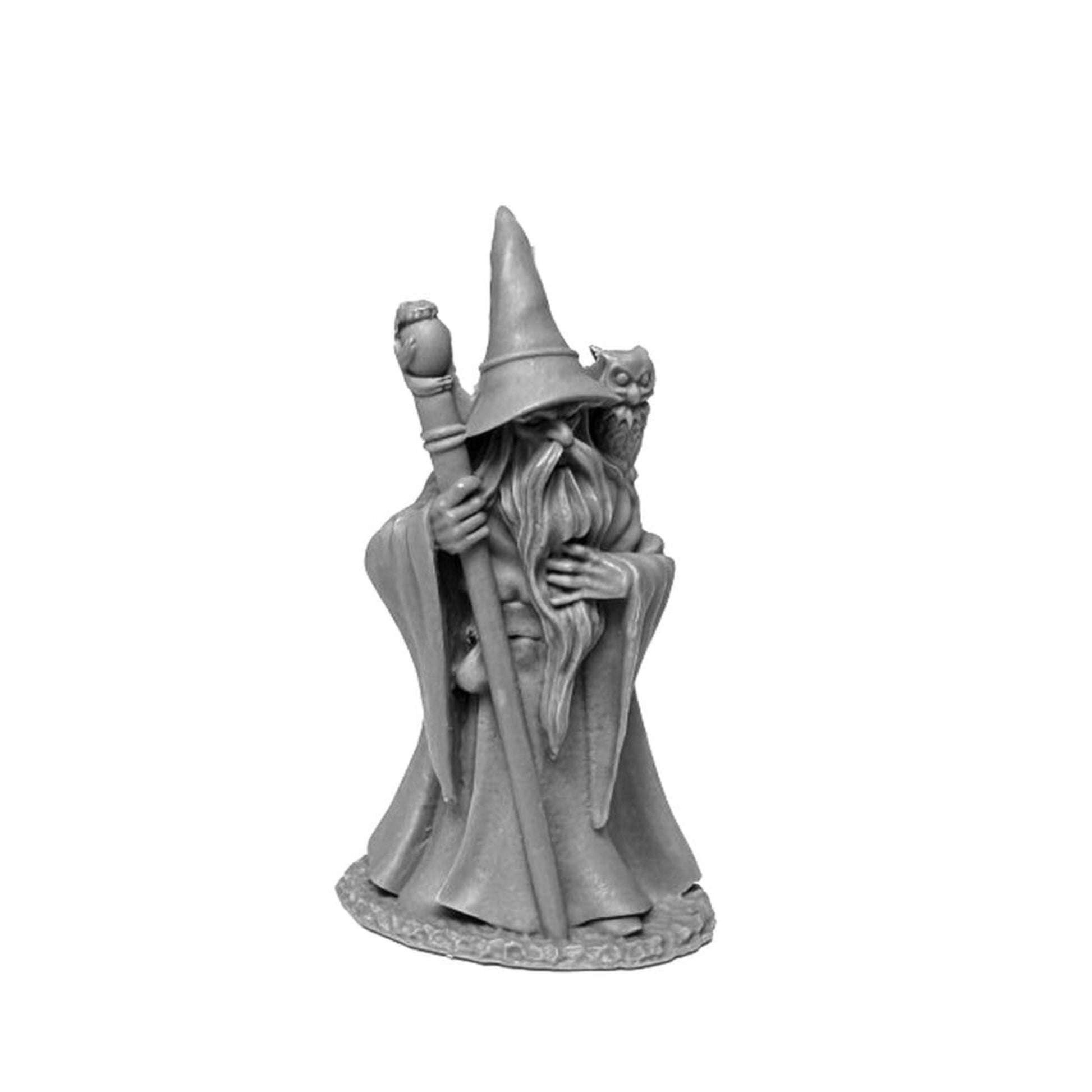 Rpr07077 - Reaper Miniatures: Anuminar Winterbeard | Human Wizard ...